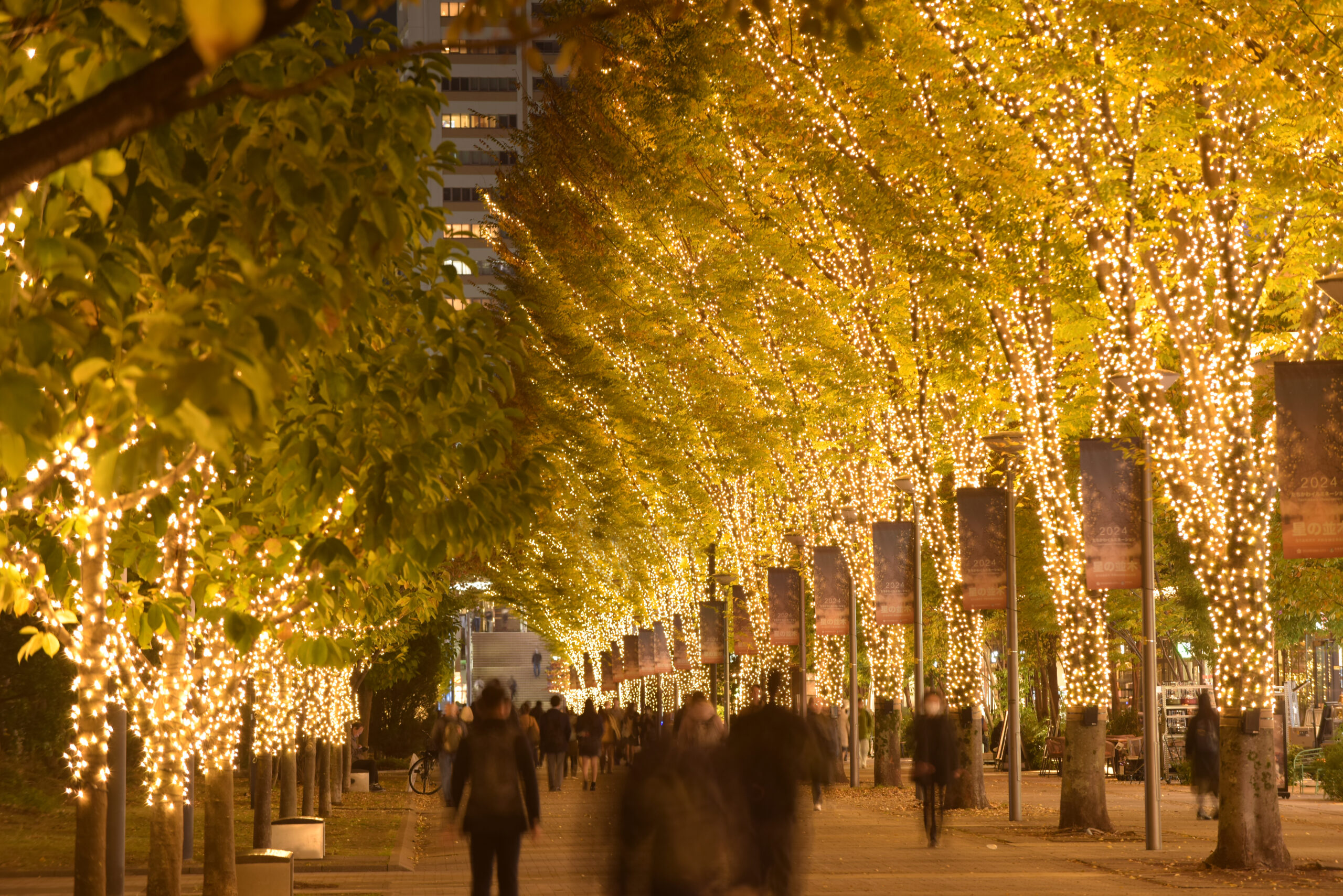 Tachikawa Winter Market – West Tokyo Wonders | Tours & Experiences ...