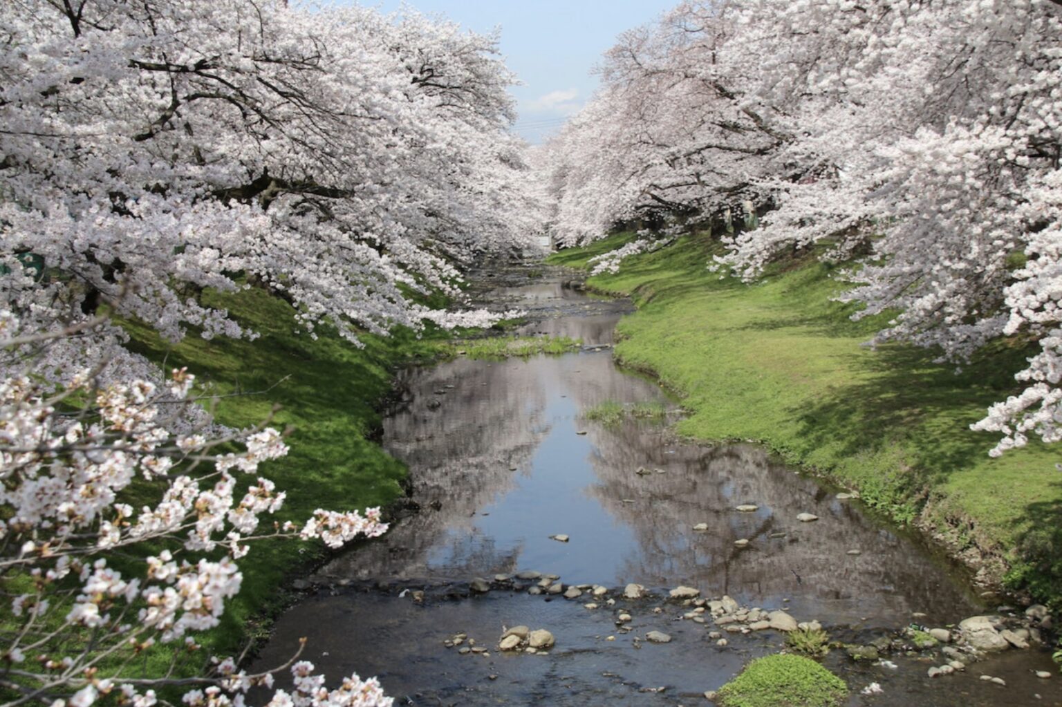 Negawa Greenway – West Tokyo Wonders | Tours & Experiences across Tama