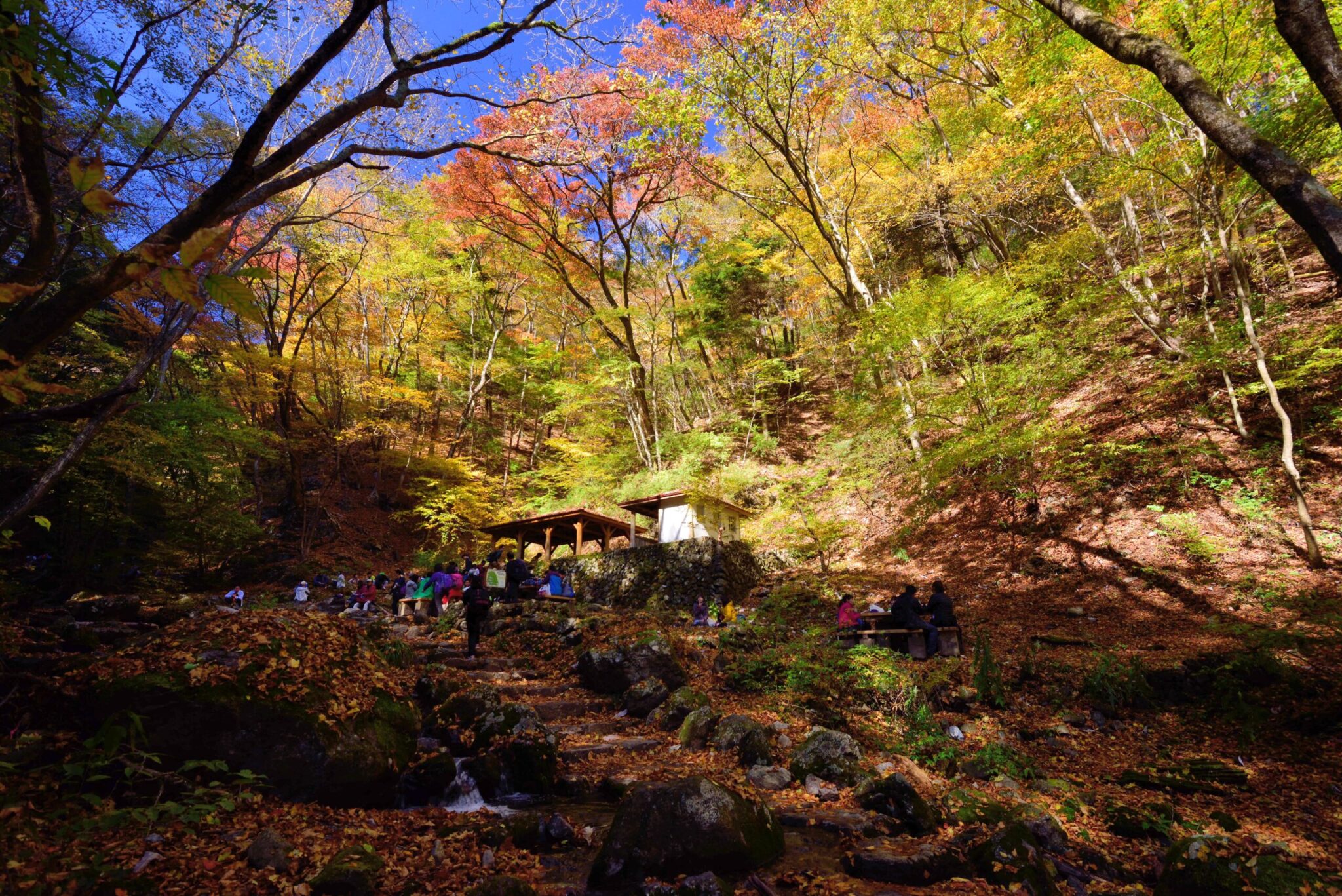 Mt. Mitake Rock Garden – West Tokyo Wonders | Tours & Experiences ...